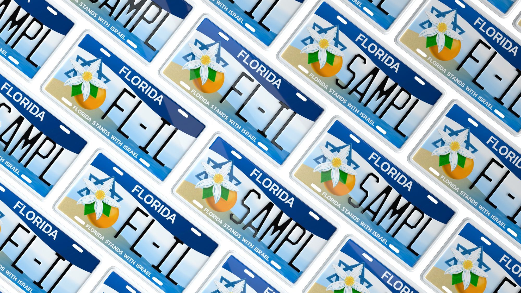 Florida Stands with Israel License Plate